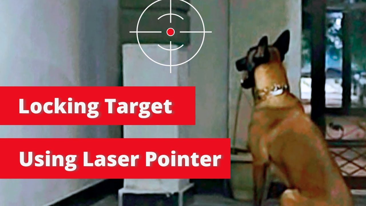 Using laser pointer and sending K9 to the target - YouTube