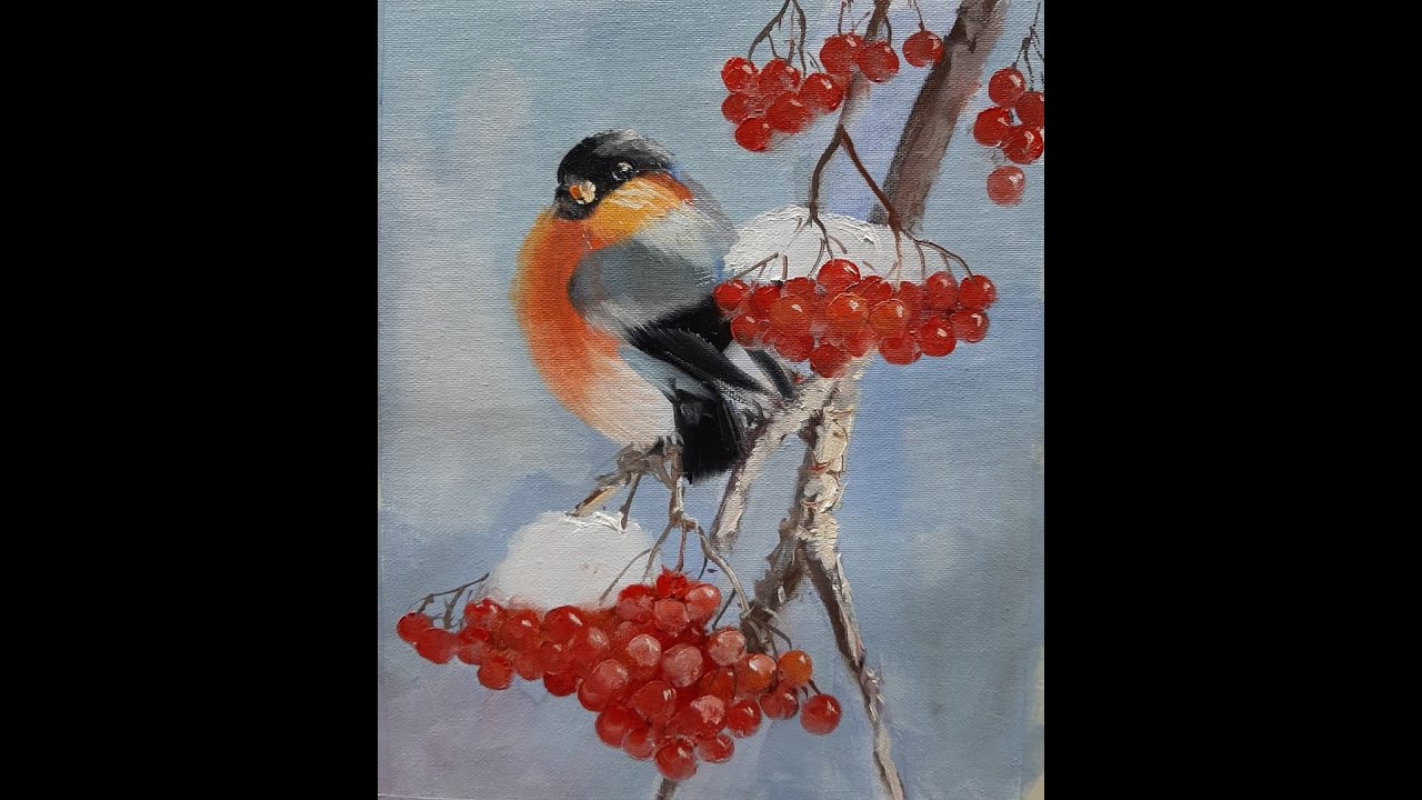 Снегирь Bullfinchr Vugar Mamedov Oil Painting for beginners - YouTube