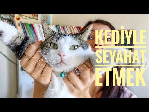 KEDİYLE SEYAHAT ETMEK / KAMİLKOÇ VE METRO TURİZMDE BAŞIMA GELENLER