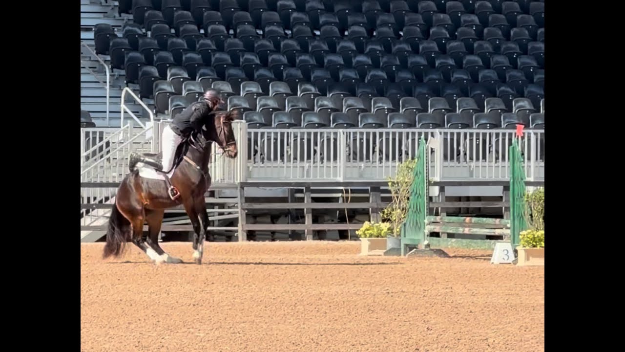 Too Good Not to Share - Remi's first show! - YouTube