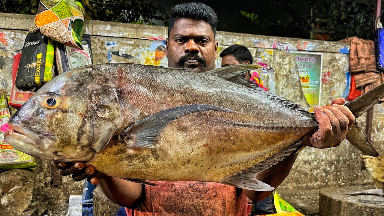KASIMEDU 🔥 SPEED SELVAM | HUGE BLACK TRAVELLY FISH CUTTING VIDEO | 4K ...