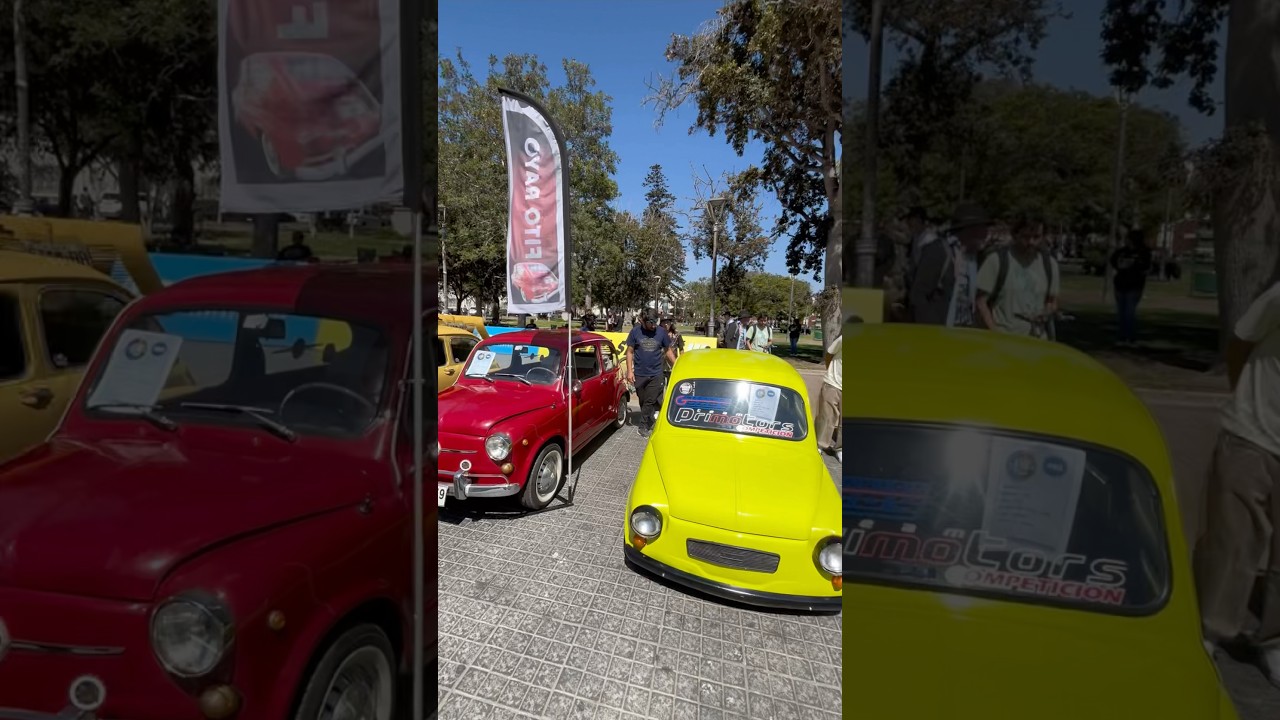 Fiat Chile Norte La Serena #fiat #600 #fiat600 #fito #bolita #clasico # ...