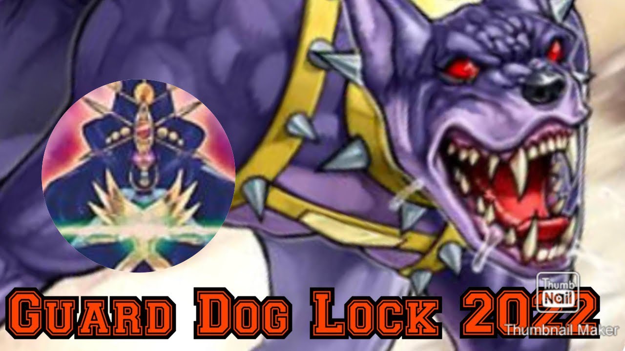 Prediction Princess Deck Profile 2022 - YouTube