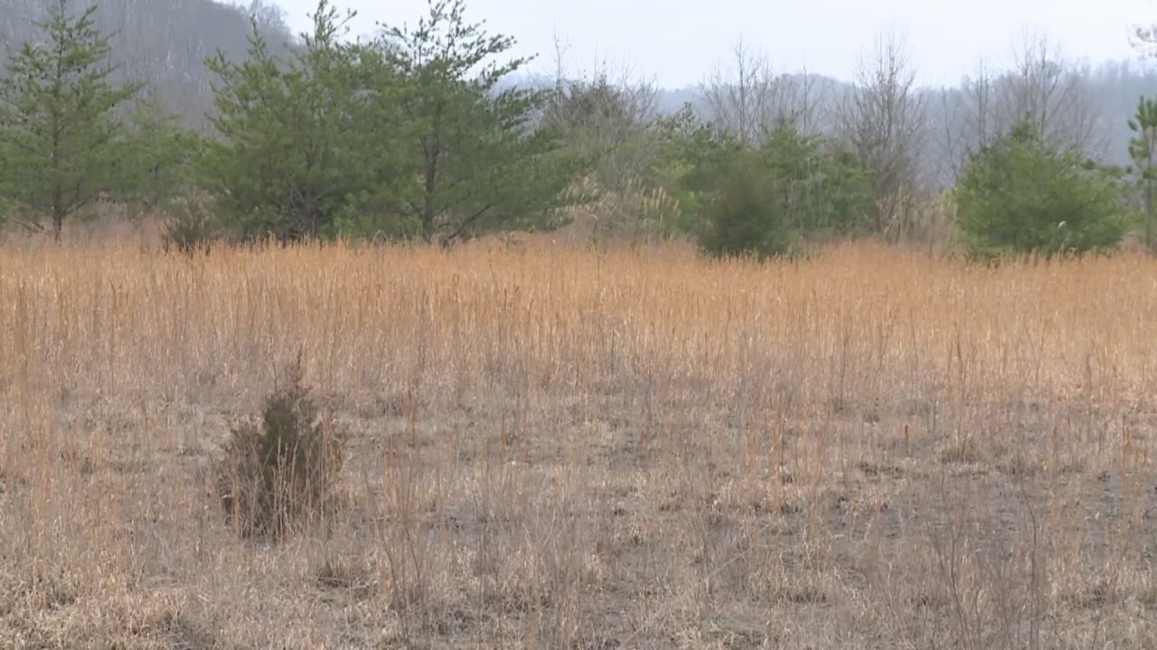Federal prison coming to Letcher County - YouTube