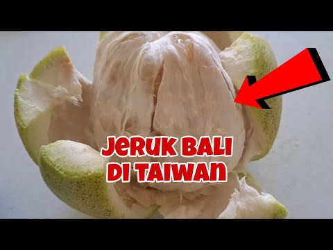 Mbah maryono channel terbaru//Jeruk bali di taiwan gratis📌 #mukbang 