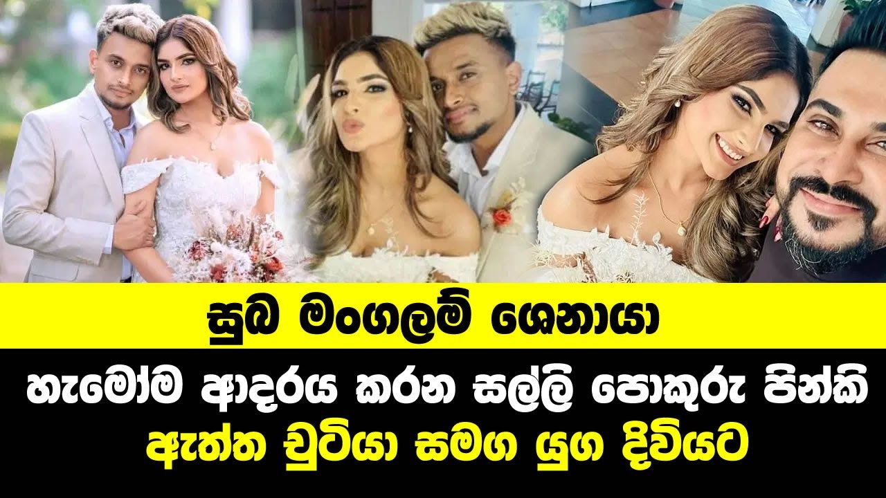 සුබ මංගලම් ශෙනායා | Shenaya Vanhoff | Shenaya Vanhoff Wedding | Salli ...