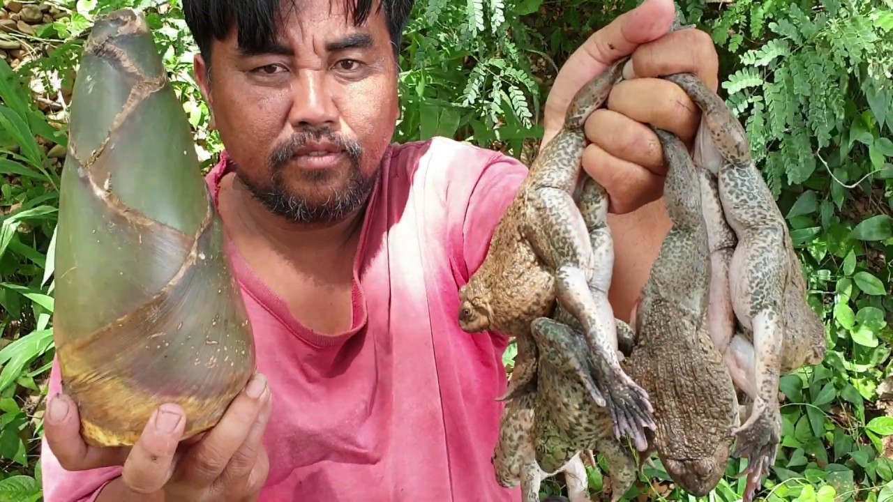 Yummy frogs with bamboo shoot - eating delicious - YouTube