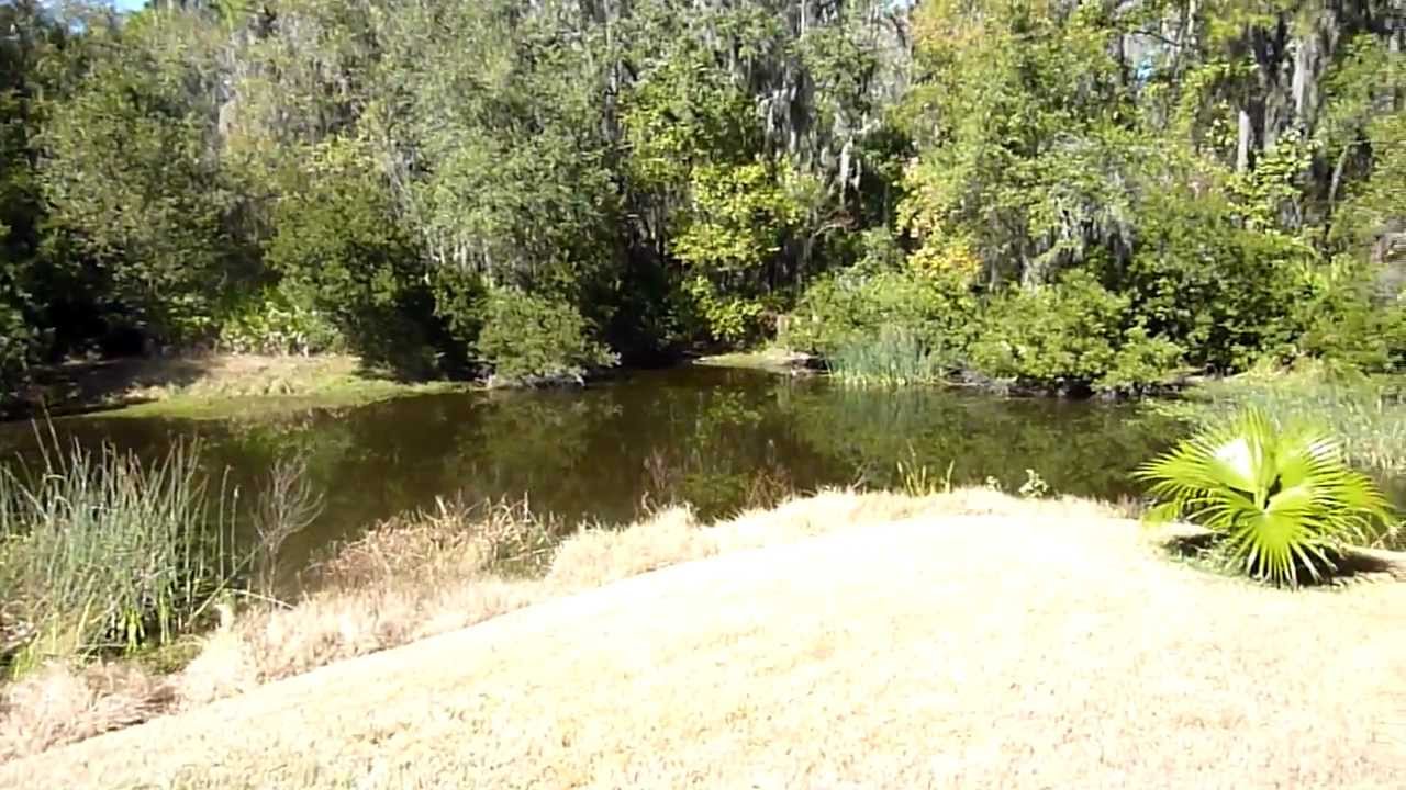 FishHawk Ranch Pool Home with Pond and Conservation View - YouTube