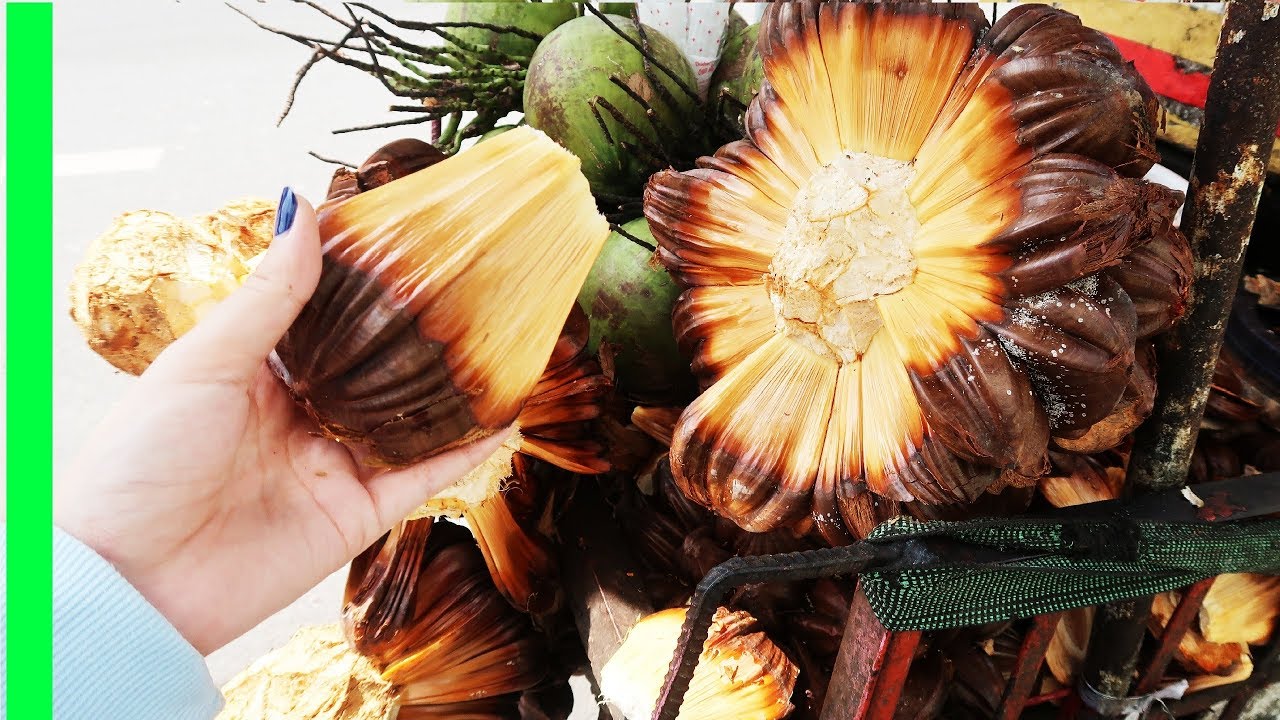 Nipa palm and Fresh Coconut ( Dừa Nước Tươi) - Vietnamese Street Food ...
