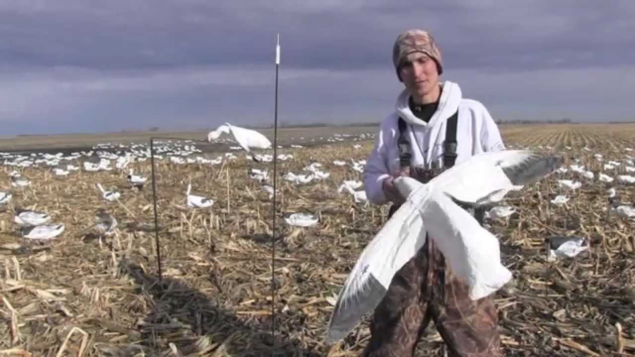 How to Attach Deck Boss Goose Flyer Decoy to Stakes - YouTube