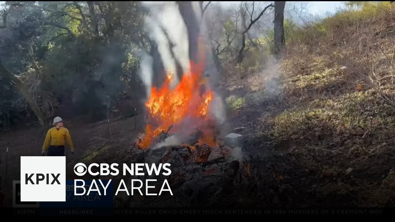 Contra Costa firefighters take pre-emptive action with controlled burns ...