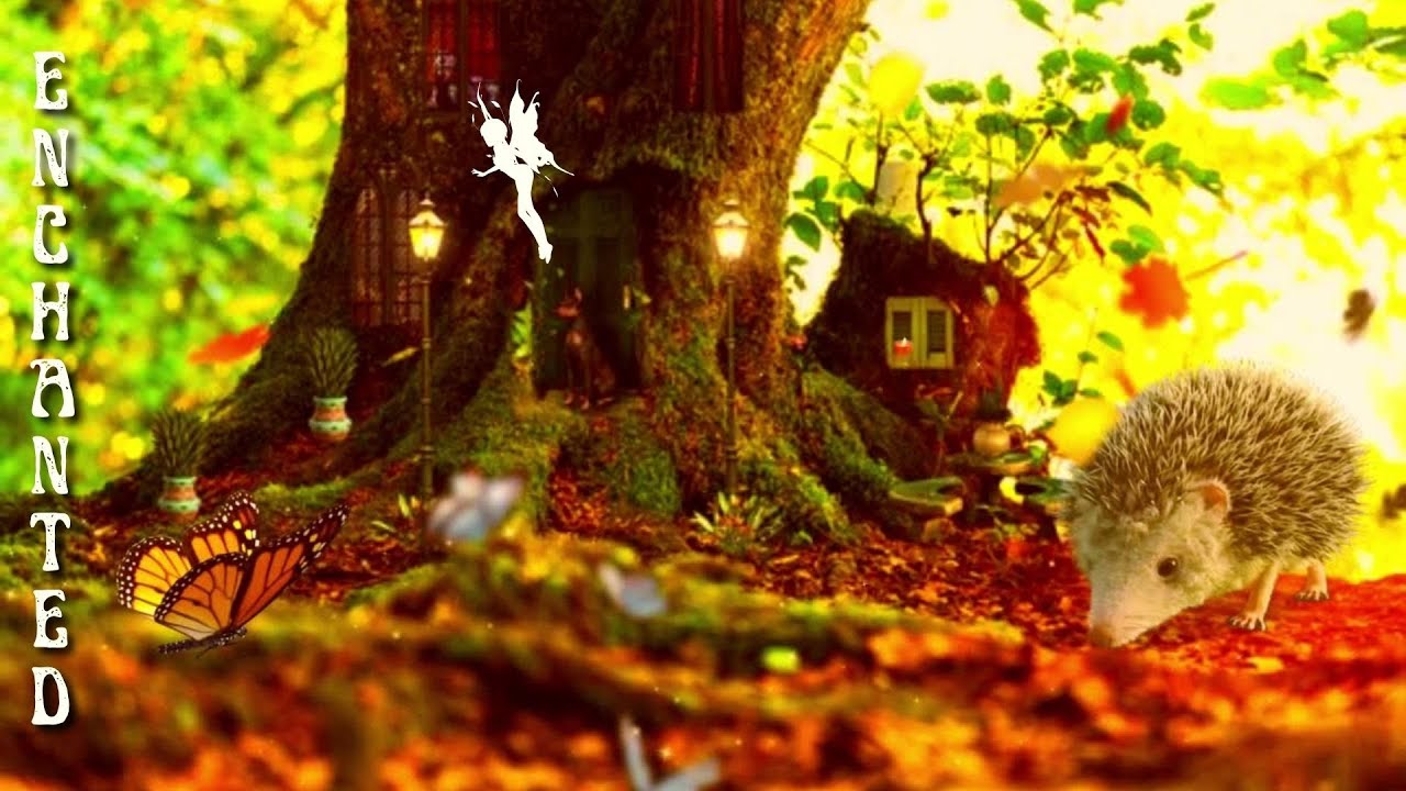 ENCHANTED FOREST AMBIENCE 🍁 Magical Fairy, Chimes, Nature Sounds for ...