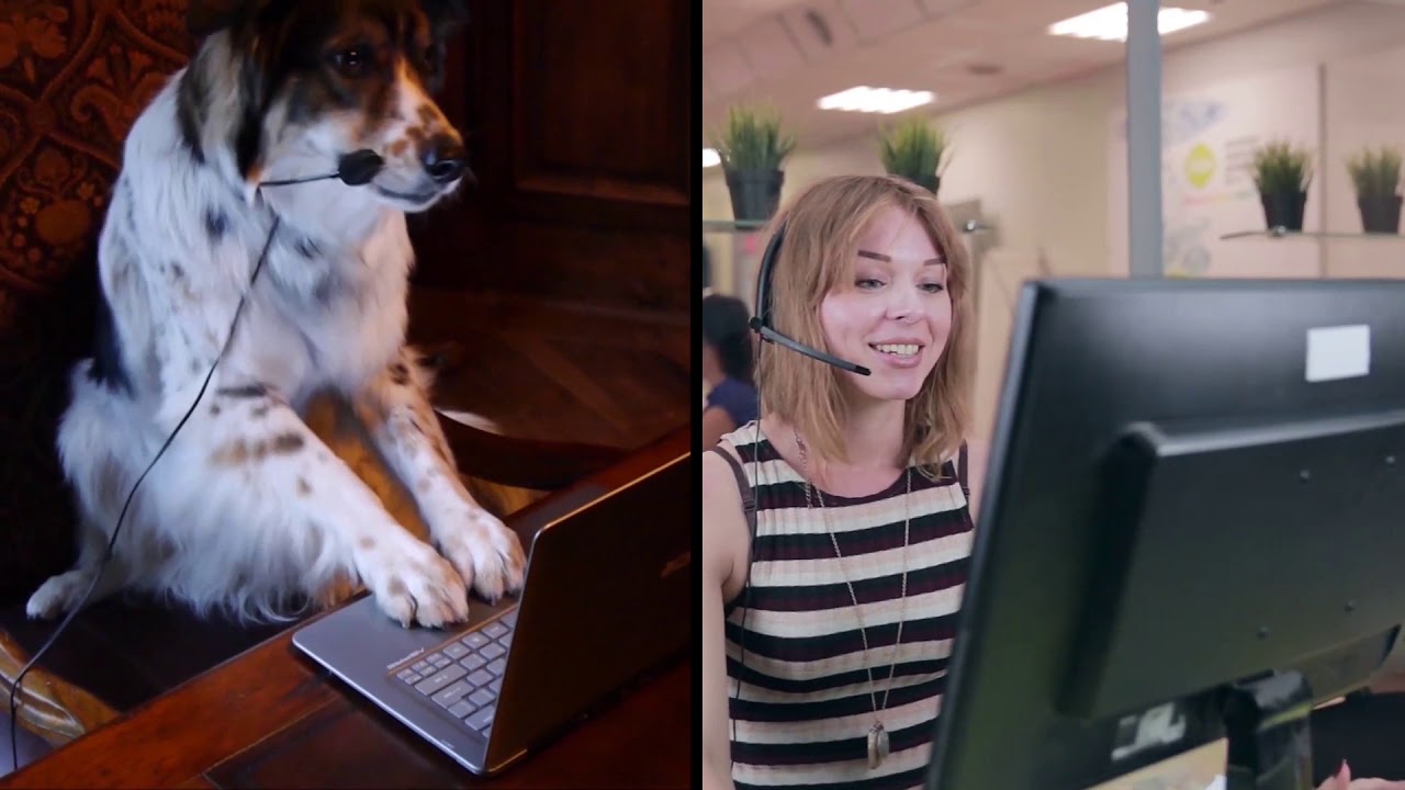 S1, Commercial 3 - Bear BnB - YouTube