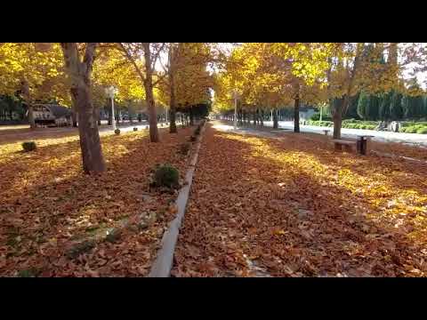 Gəncə-bir payız görüntüsü.Ganja-autumn scenes.#gence #payızgünleri #autumn #days #autumndays