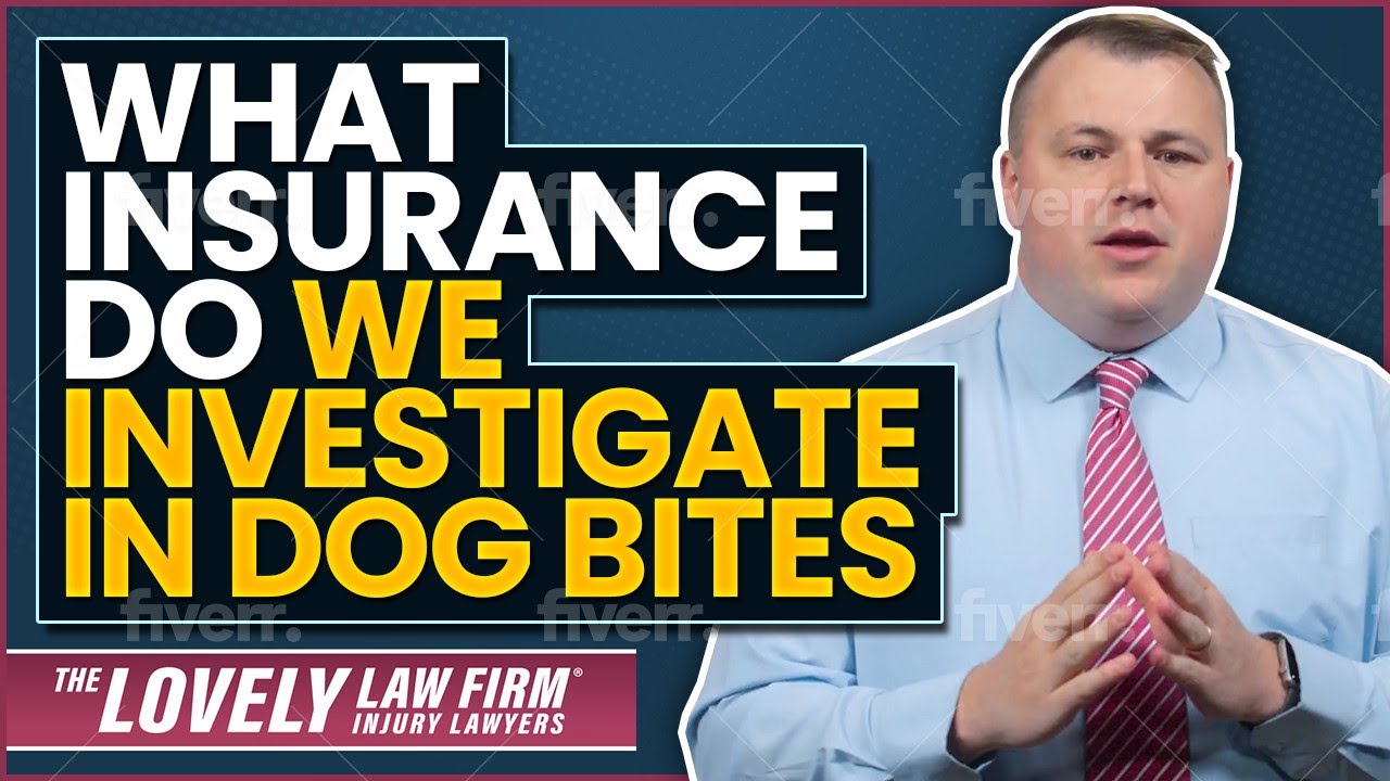 Insurance We Investigate in a Dog Bite Claim | Dog Bite Liability - YouTube