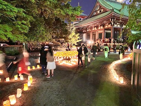 What a amazing trip to Japan Karatsu