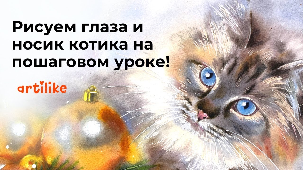 Как нарисовать глаза и нос кота Рисуем кошку акварелью Как