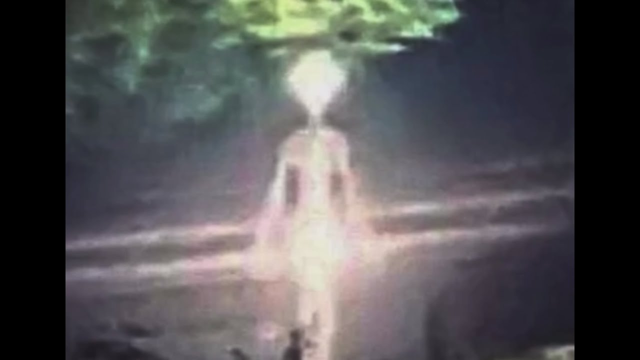 Alleged Aliens on Photos/Videos - Part 14 - YouTube