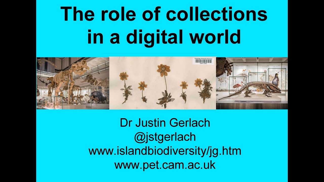 Approaching science at University: 3 - The role of collections in the ...