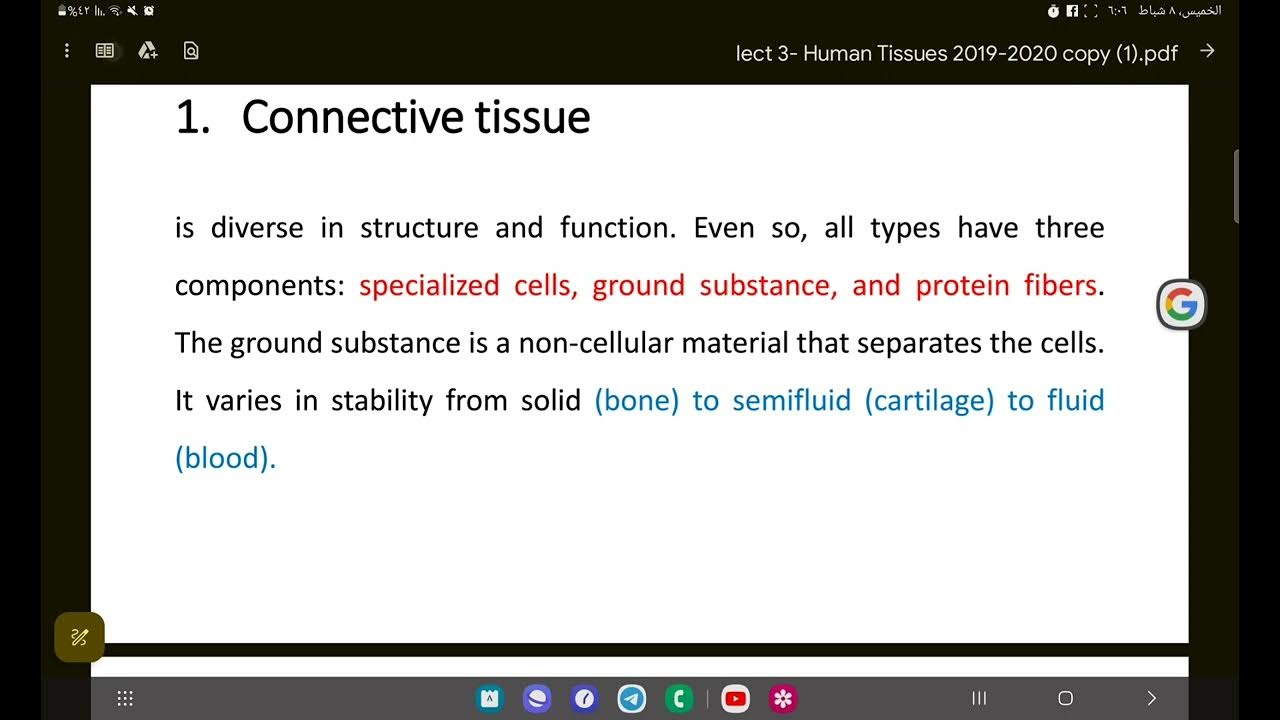 human biology lecture 3 part 1 - YouTube