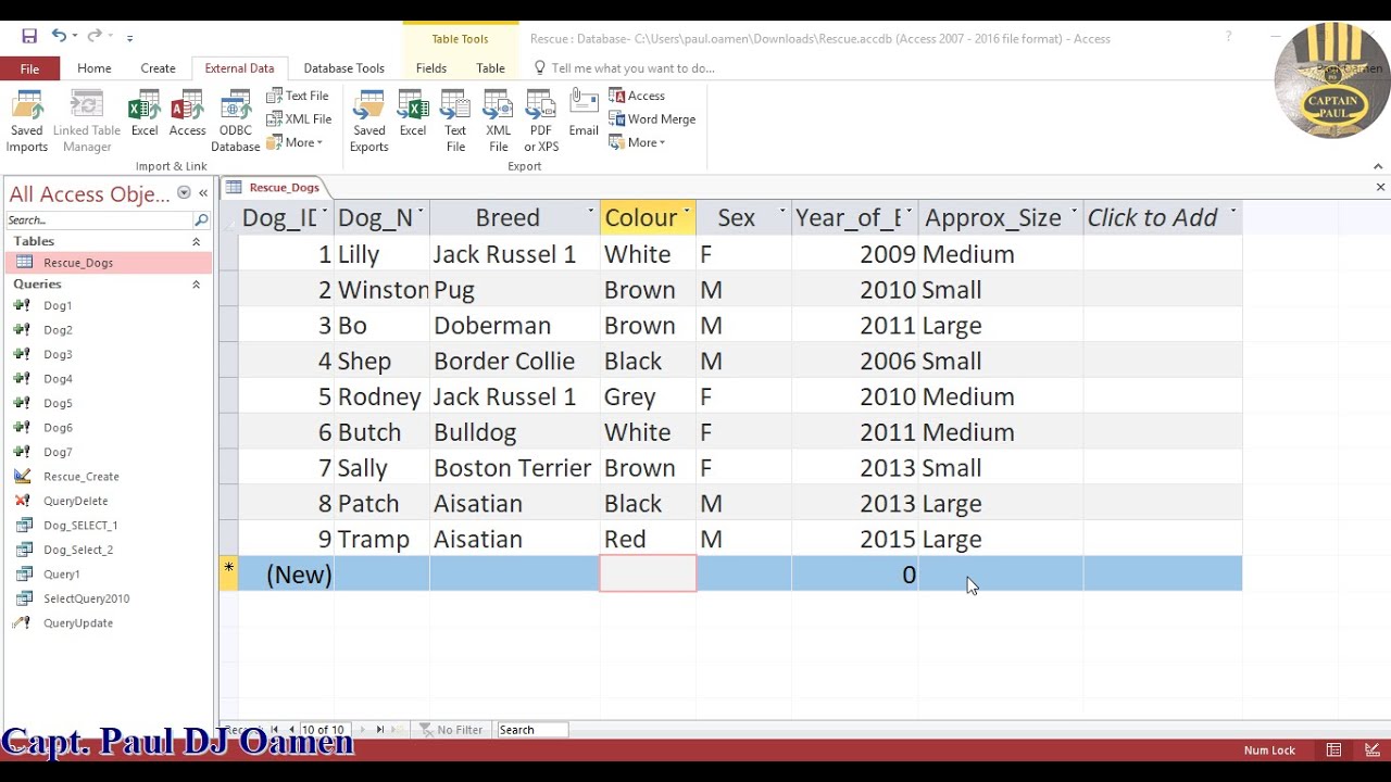 How To Use The Or Operator To Select Records Matching Either Of The Criteria In Ms Access Using