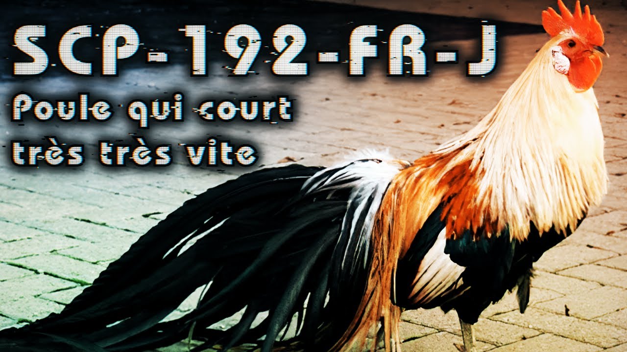 SCP-192-FR-J - Poule qui court très très vite [AFSCP] - YouTube