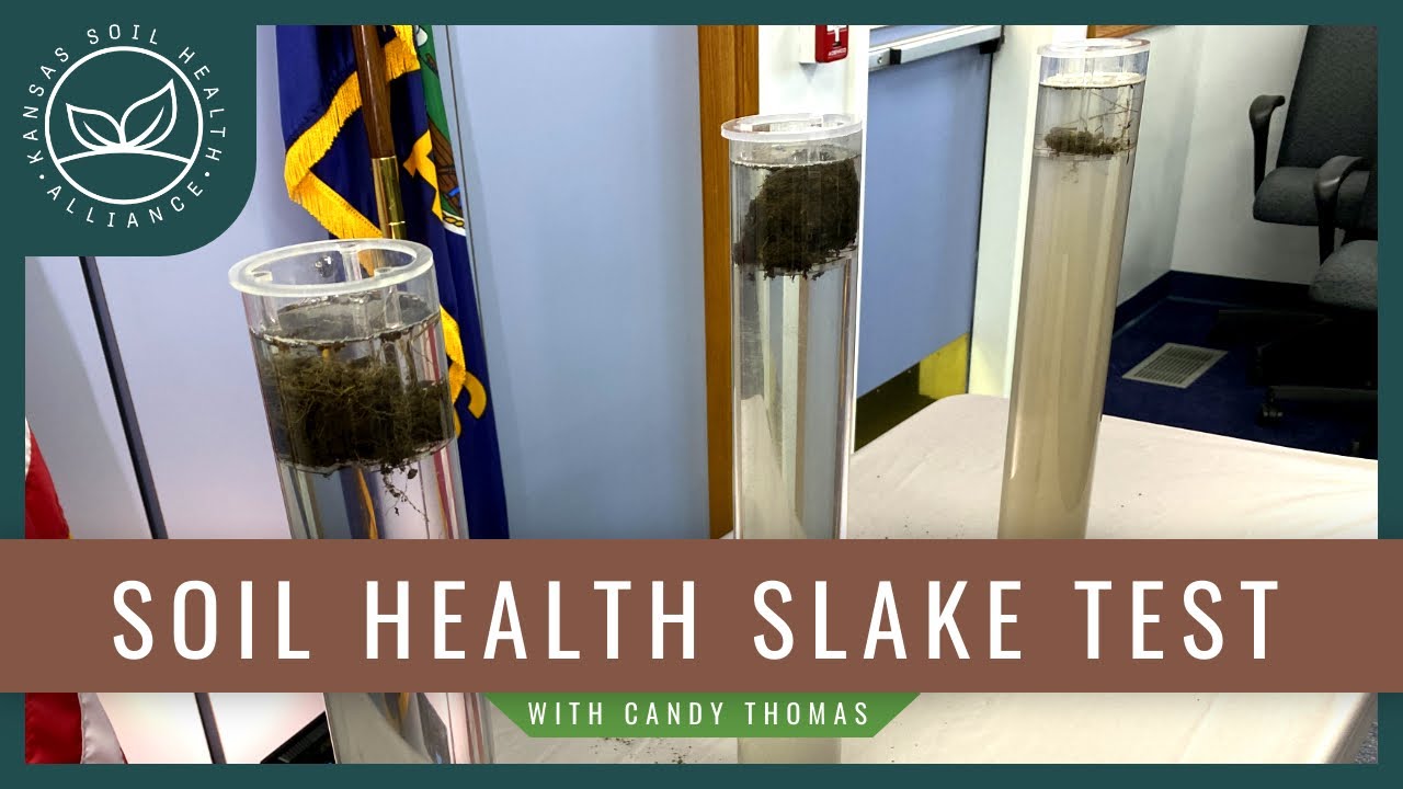 Testing For Soil Health with a Slake Test - YouTube