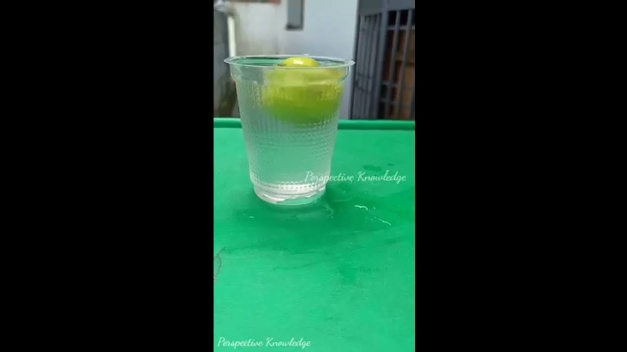 WHY LEMON FLOATS IN SALT WATER??? SEE THIS - YouTube