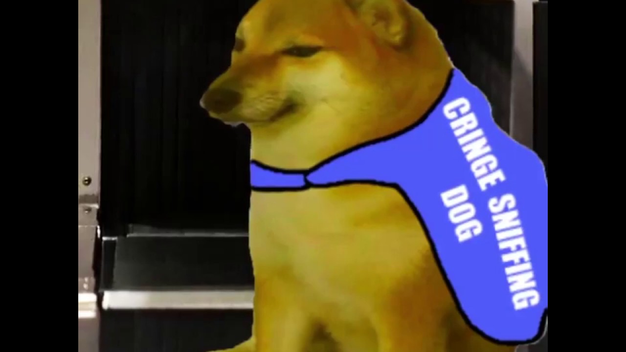 Cringe Sniffing Dog - YouTube