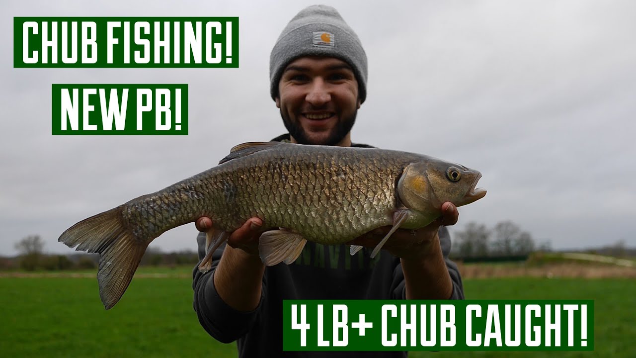 CHUB FISHING! 4LB+ CHUB CAUGHT! NEW PB! - YouTube