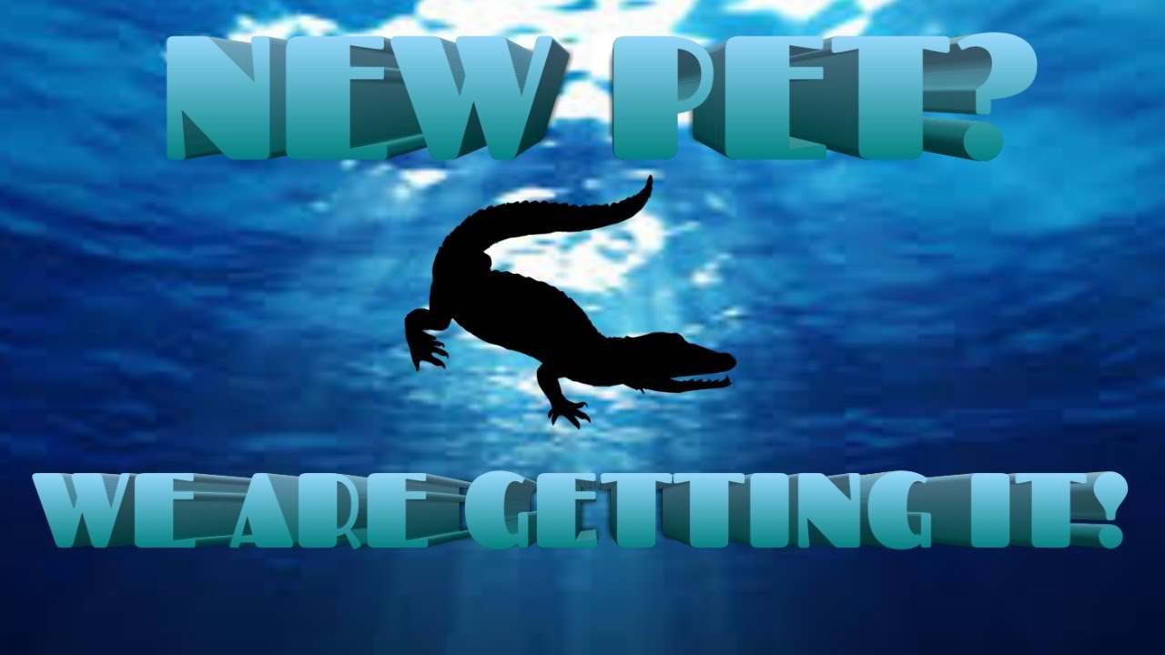 We Are Getting It! Summer Vlog #1 ☀️ - YouTube