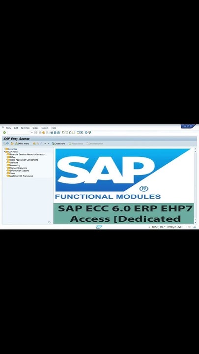 How to change SAP Font Size and Font Style #sap #sapmmtraining #sapfico ...