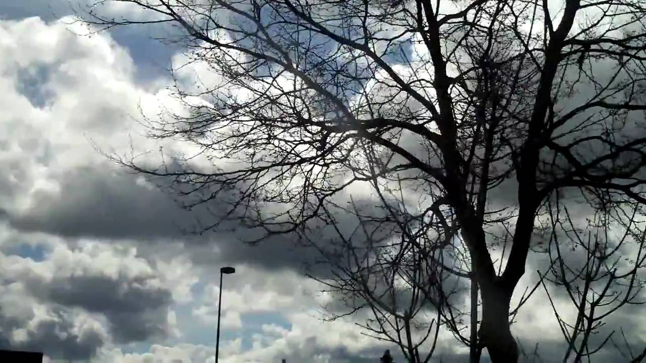 Ride TriMet Line 89 from Evergreen Pkwy to Science Park Dr - YouTube