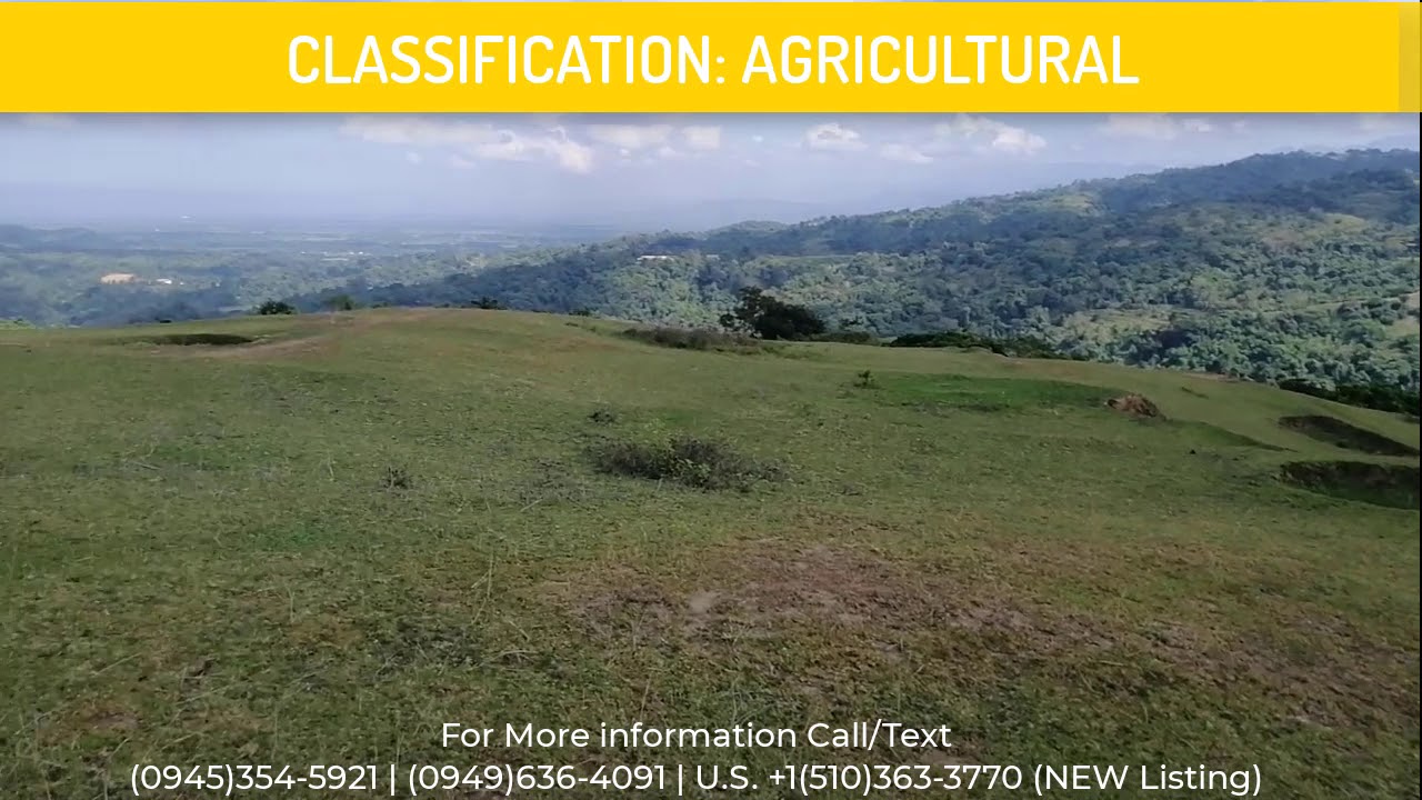 AROSIP PROPERTY - YouTube