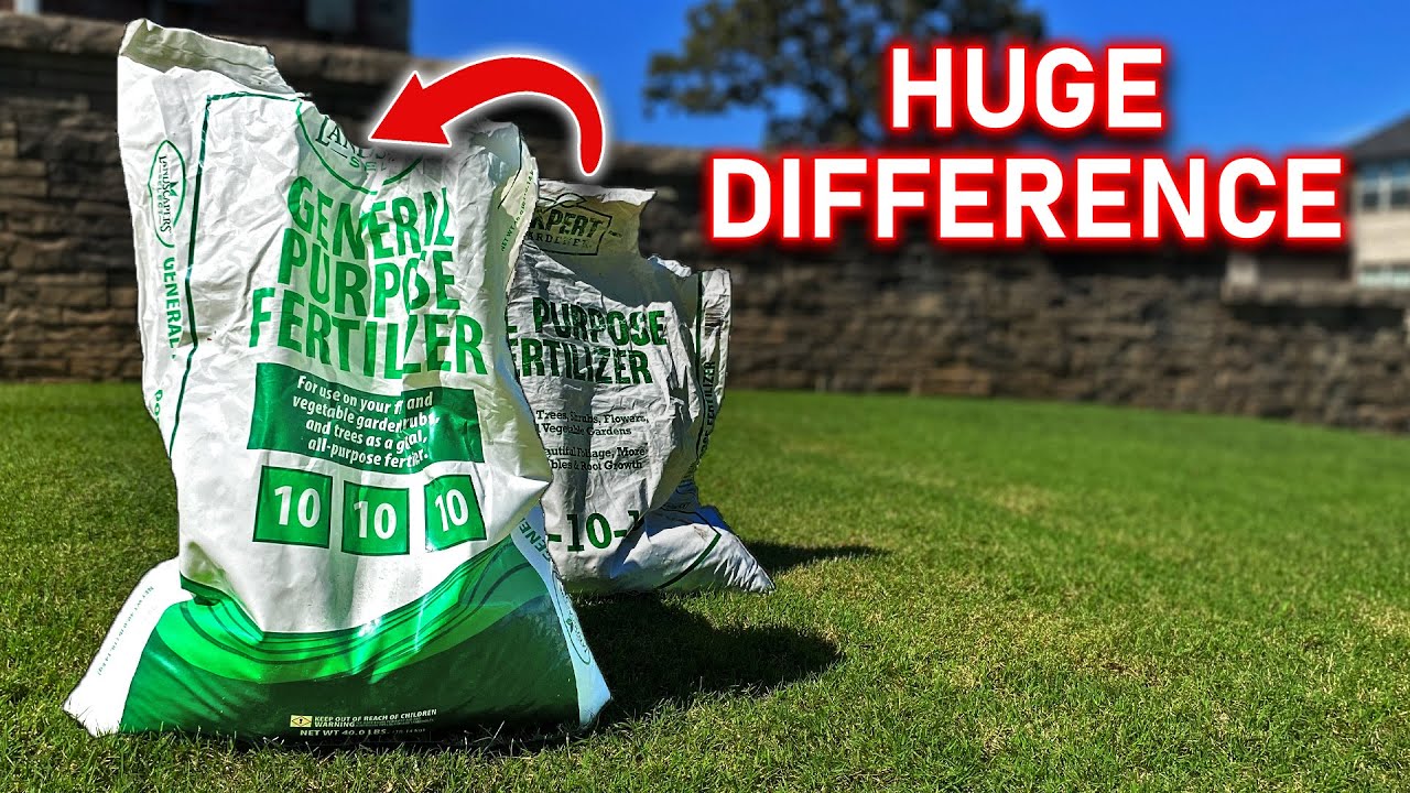 This CHEAP FERTILIZER is better than the other for 3 obvious reasons ...