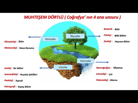 TYT GENEL TEKRAR ( COĞRAFYA'NIN ALT DALLARI - ATMOSFERİN KATMANLARI - BÖLGE TÜRLERİ )
