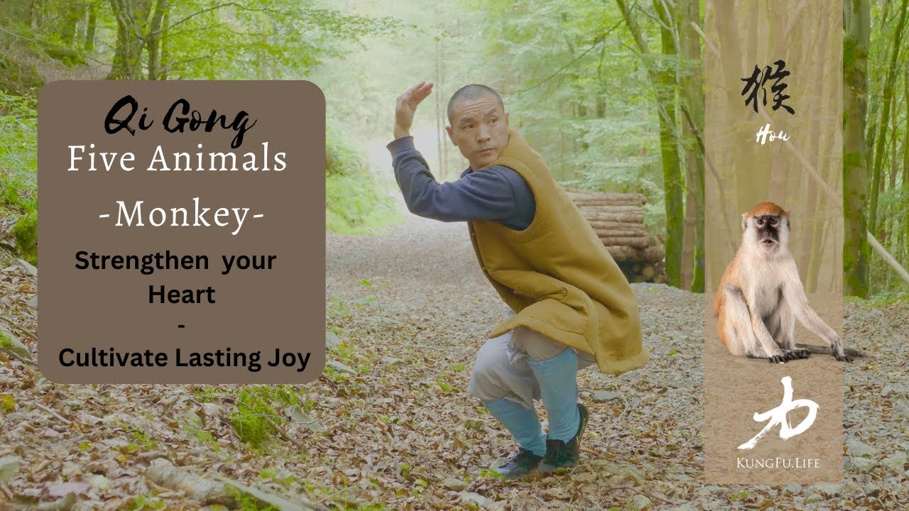 Five Animal Qi Gong 🐵 - Monkey - Strengthen your Heart & Cultivate ...