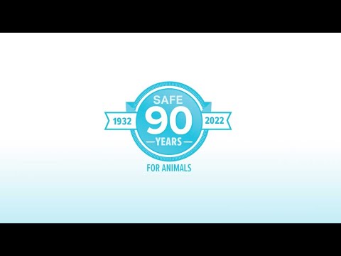 SAFE year in review - Celebrating 90 years - YouTube