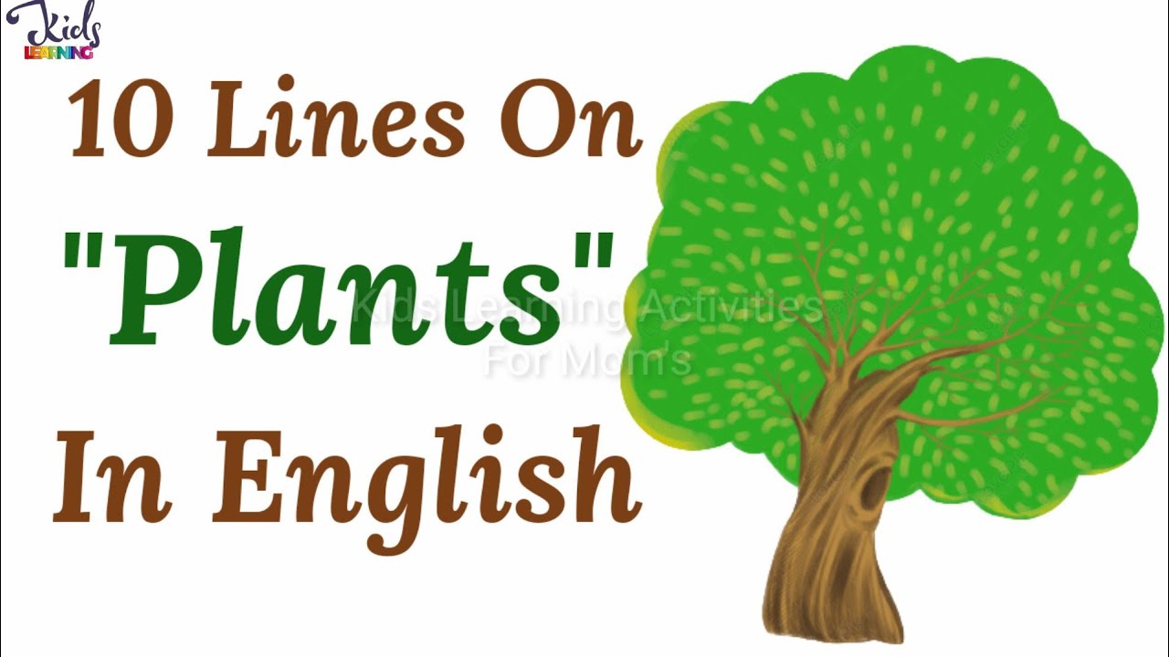 10 Lines On Trees | Essay On Plants In English | Short Speech On Plants ...