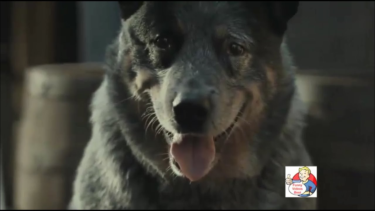 Captain Morgan Rum The Most Exciting Cinematic Quality Advertising You ...