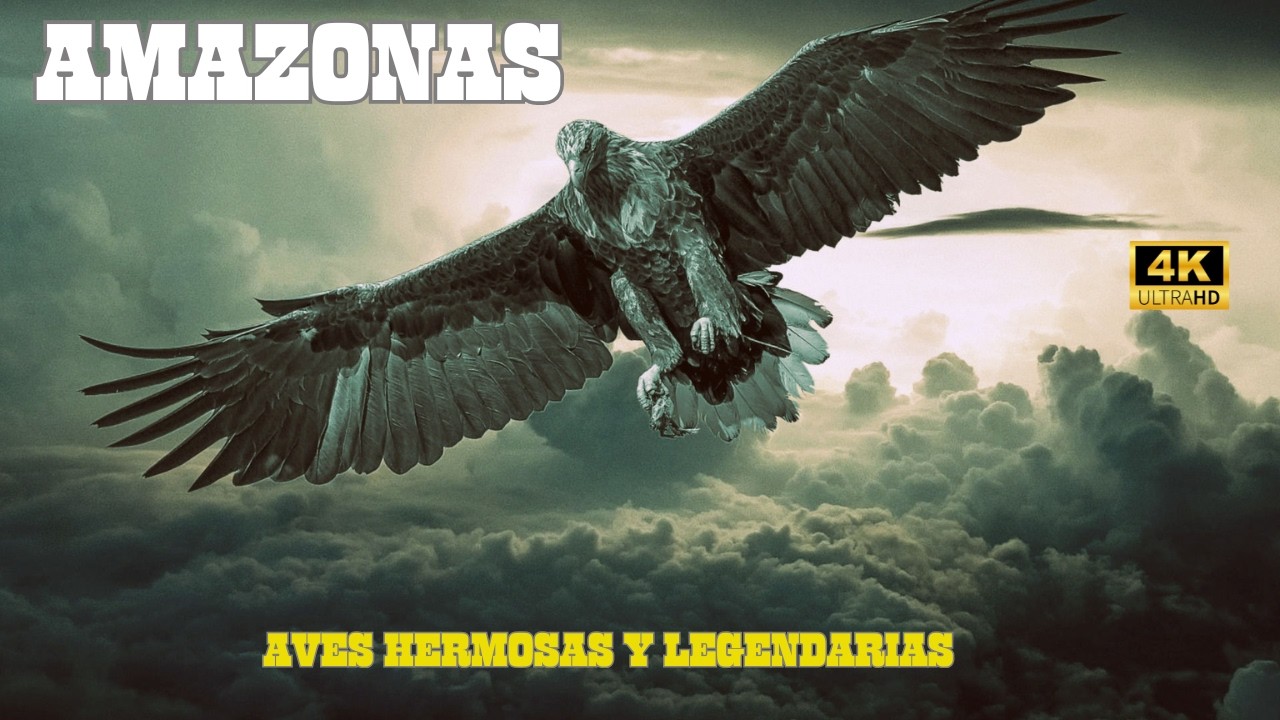 AMAZONAS: Aves HERMOSAS y LEGENDARIAS | DOCUMENTAL Episodio 1 - YouTube