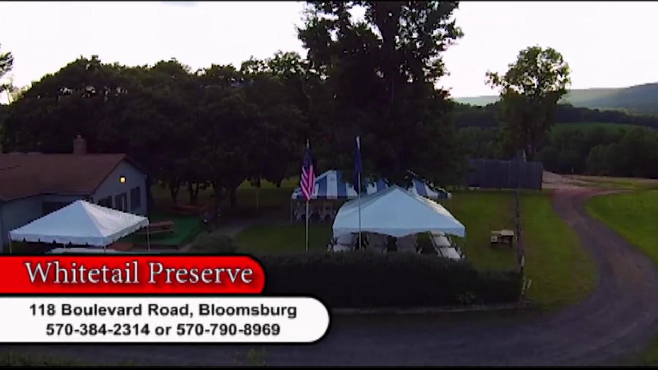 WYLN NEWS FOR FRIDAY JANUARY 3RD 2025 - YouTube