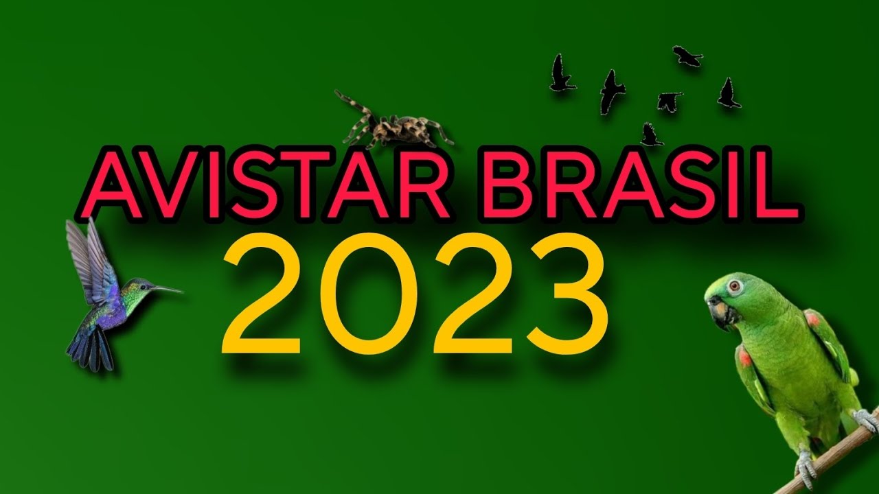 AVISTAR BRASIL 2023 | minha primeira vez no evento |mostrando o evento ...