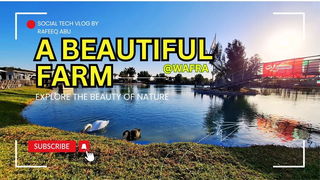 Beautiful Farm@Wafra | വഫറയിലെ ഒരു മനോഹര ഫാം - YouTube