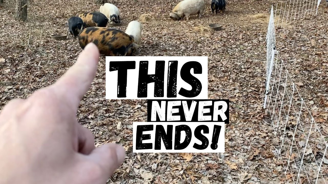 The Farm Project that Never Ends! - YouTube