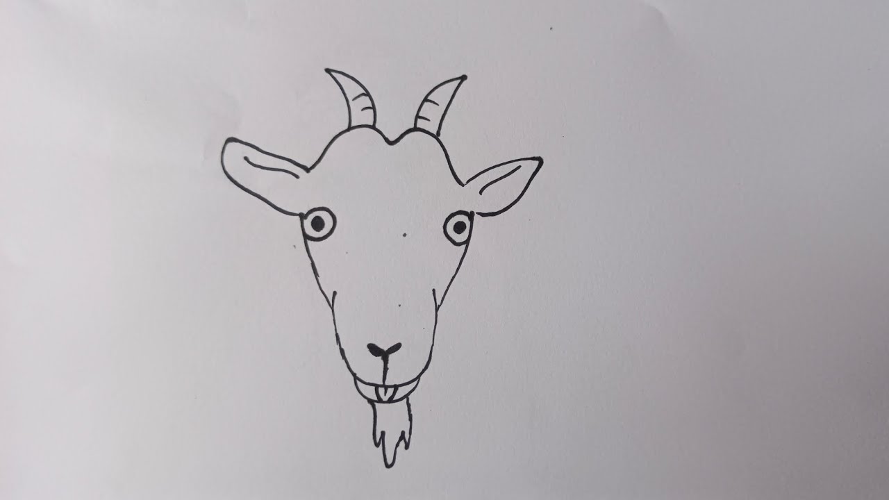 how to draw goat easy for beginner - YouTube
