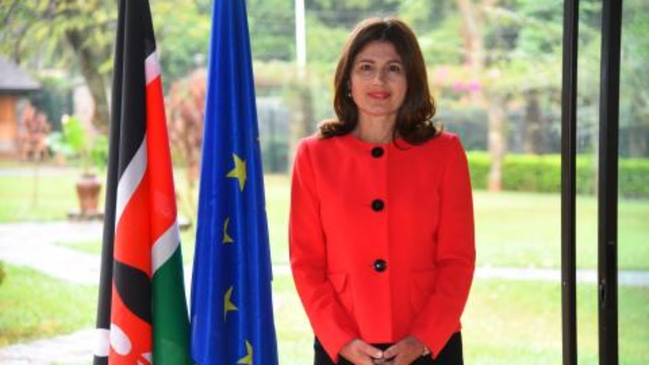Kenya on the spot: EU Ambassador Henriette Geiger on Kenya's financial ...