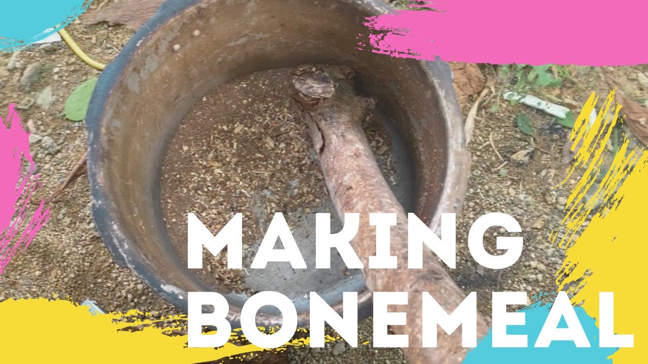 How to make bone meal - YouTube
