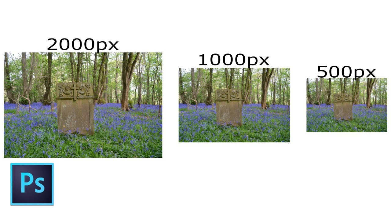 Photoshop Tutorial Export The Same Image At Different Sizes YouTube photoshop-tutorial-export-the-same-image-at-different-sizes-youtube