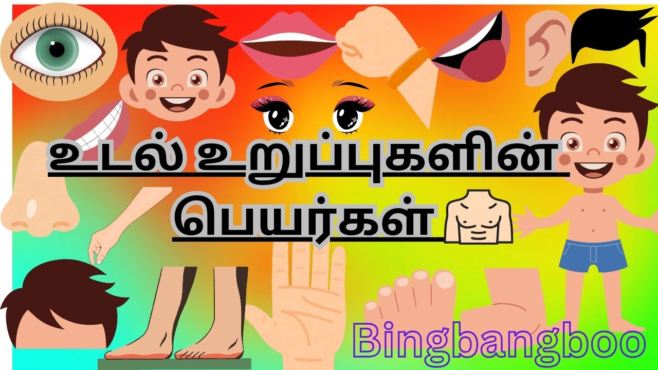 உடல் உறுப்புகளின் பெயர்கள்/udal uruppukalinpeyargal #partofbody #உடல் ...